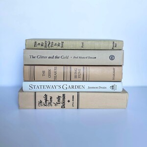 Aesthetic Decorative Book Bundle Sand Clay Neutral Color Bookshelf ...