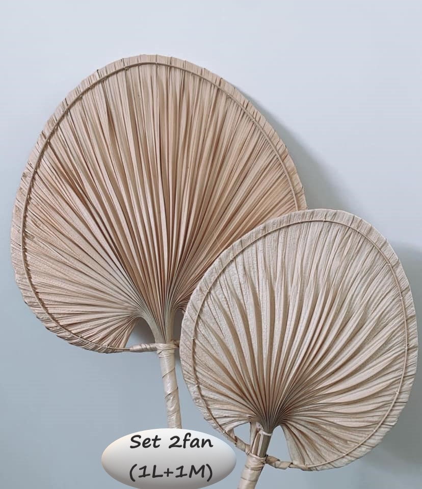 Natural Palm Leaf Fan Decor Tropical Palm Fans Handmade Wall | Etsy