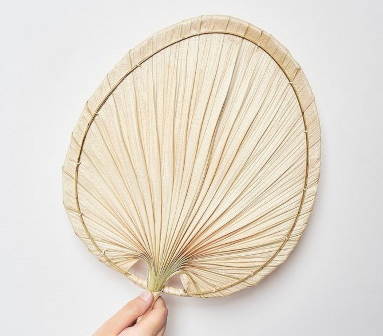 Natural Palm Leaf Fan Decor Tropical Palm Fans Handmade Wall - Etsy