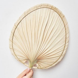 Natural Palm Leaf Fan Decor, Tropical Palm Fans, Handmade Wall Hanging ...