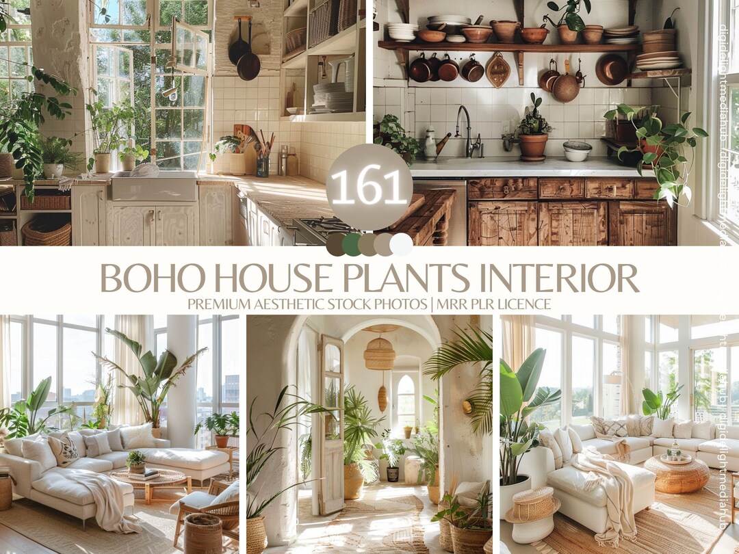 Boho Houseplants Interior Stock Photos, Indoor Plants for a Boho Style ...