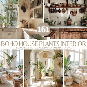 Boho Houseplants Interior Stock Photos, Indoor Plants for a Boho Style ...