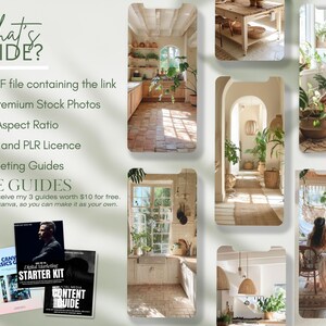 Boho Houseplants Interior Stock Photos, Indoor Plants for a Boho Style ...