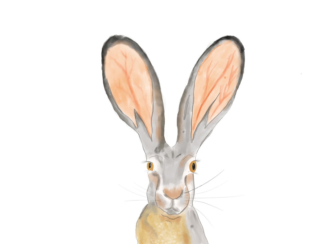 Desert Jack Rabbit Watercolor - Etsy