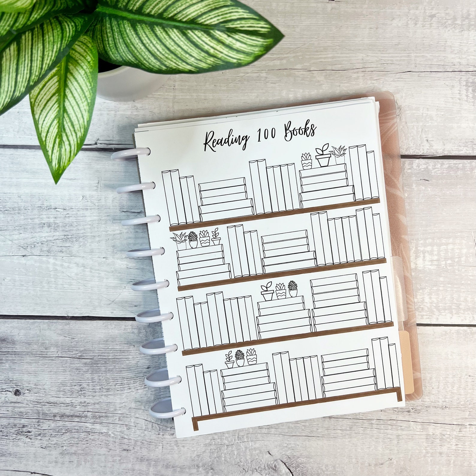 Printable Book Shelf for HP 100 Books - Etsy