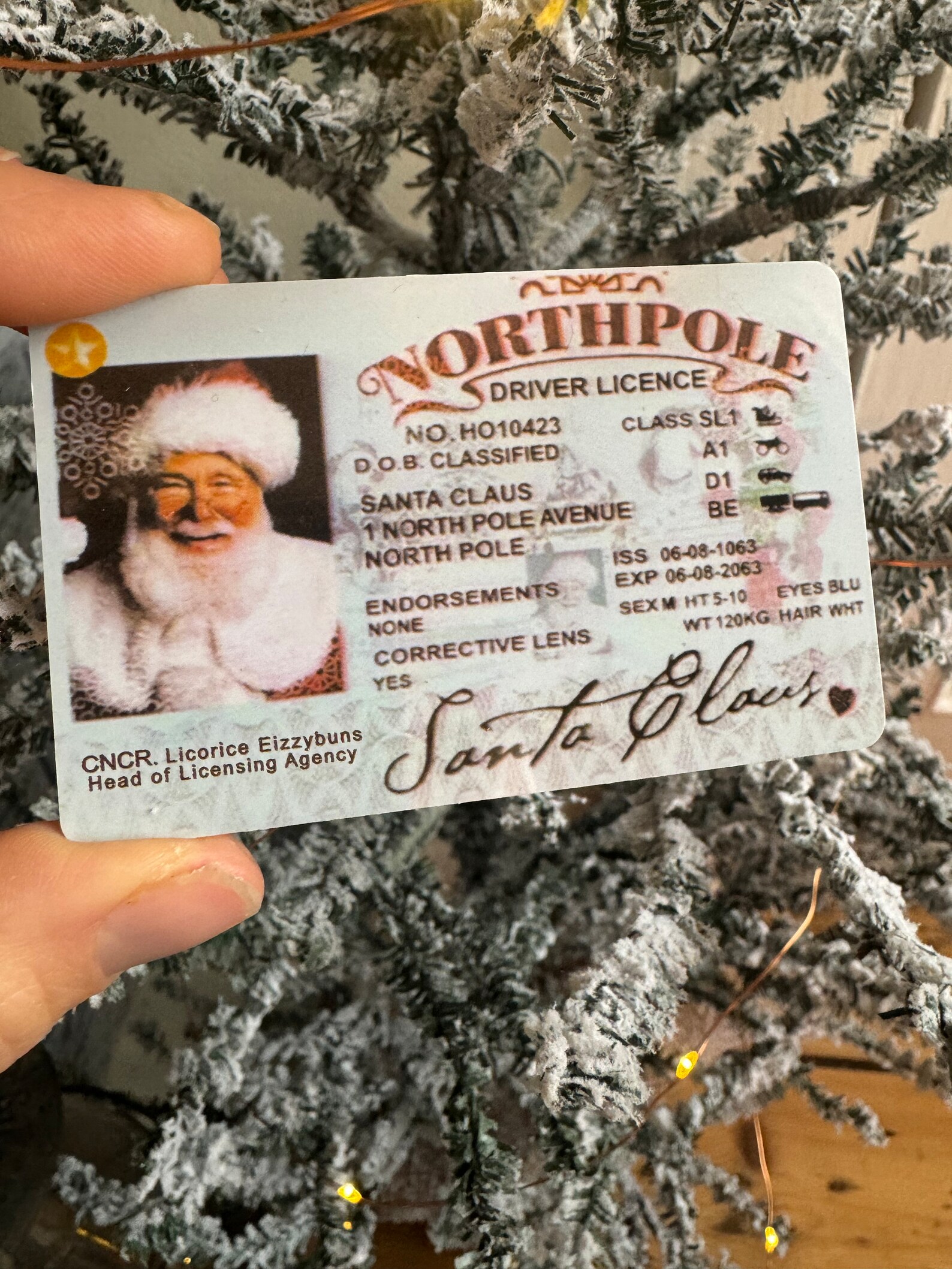 Realistic Santa Claus Driver License - Santa’s ID / Santa's Lost Driver ...