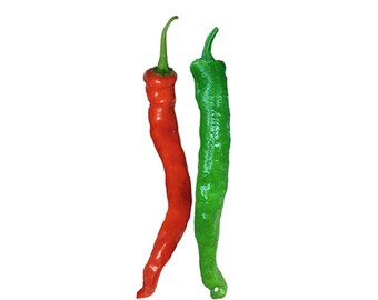 50 Fushimi Sweet Long Japanese Sweet Pepper Seeds 伏見甘長唐辛子 ふしみあまなが - Etsy