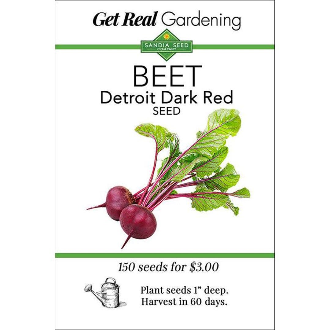 Beet - Detroit Dark Red Beet Seeds - Heirloom Beets - Easy Growing - Etsy