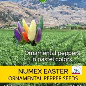 Easter Ornamental Numex Pepper Seeds - Etsy