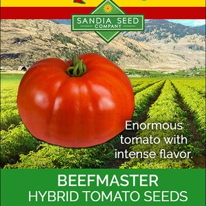 Tomato - Beefmaster F1 Seeds - Etsy