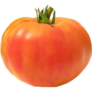 Tomato Virginia Sweets Heirloom Seeds - Etsy