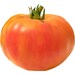 Tomato Virginia Sweets Heirloom Seeds - Etsy