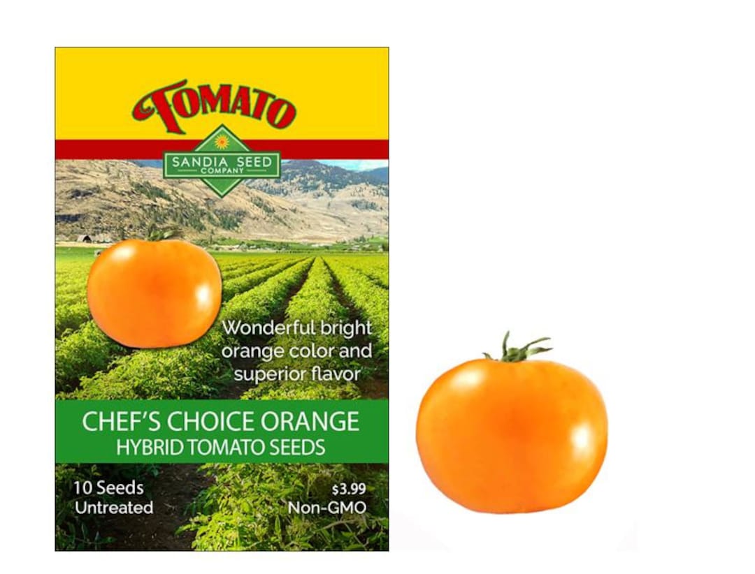 Chefs Choice Orange F1 Tomato Seeds - Juicy, Sweet, and Bright Orange ...