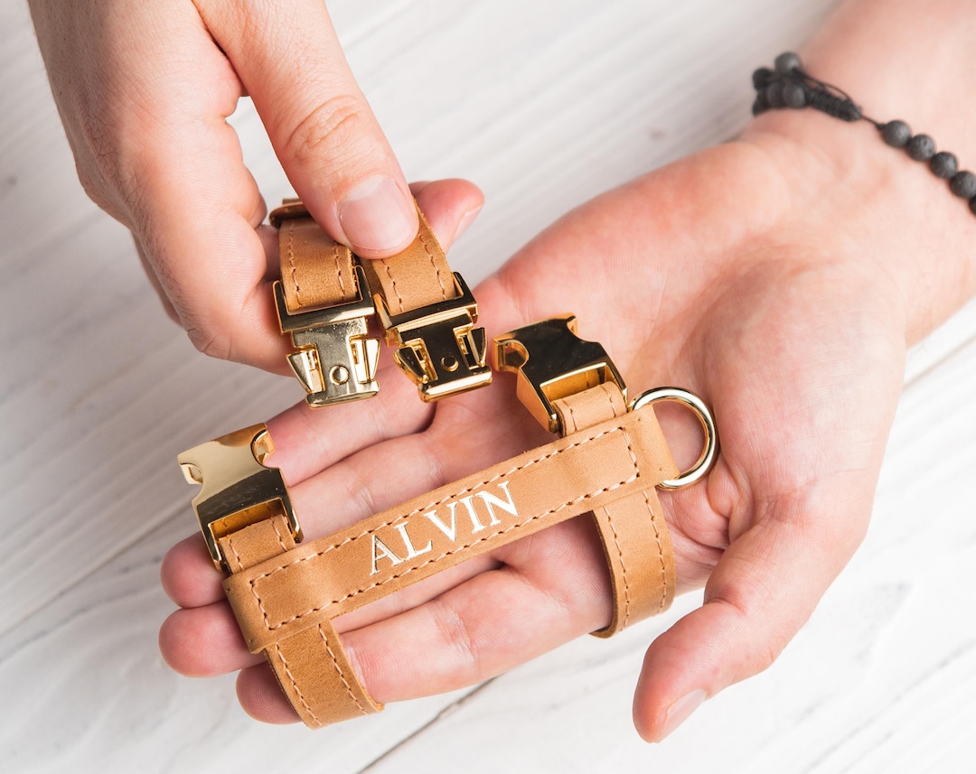 Personalized Leather Cat Harness, Adjustable Cat Harness With Name, Cat ...