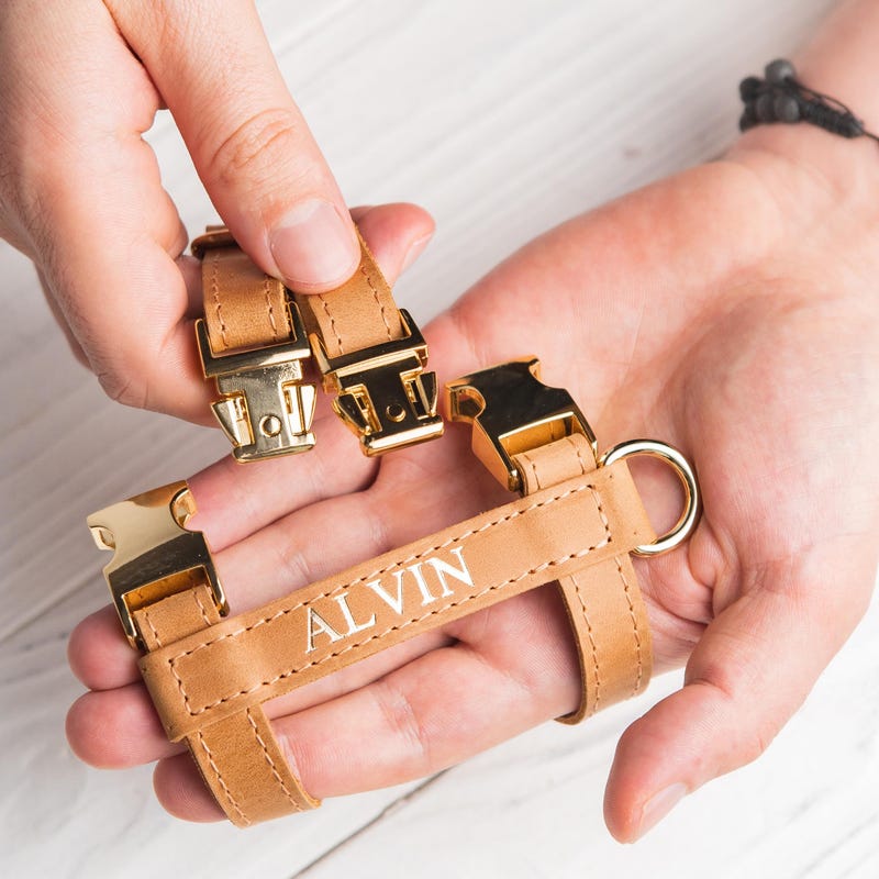 Cat Harness Light - Etsy