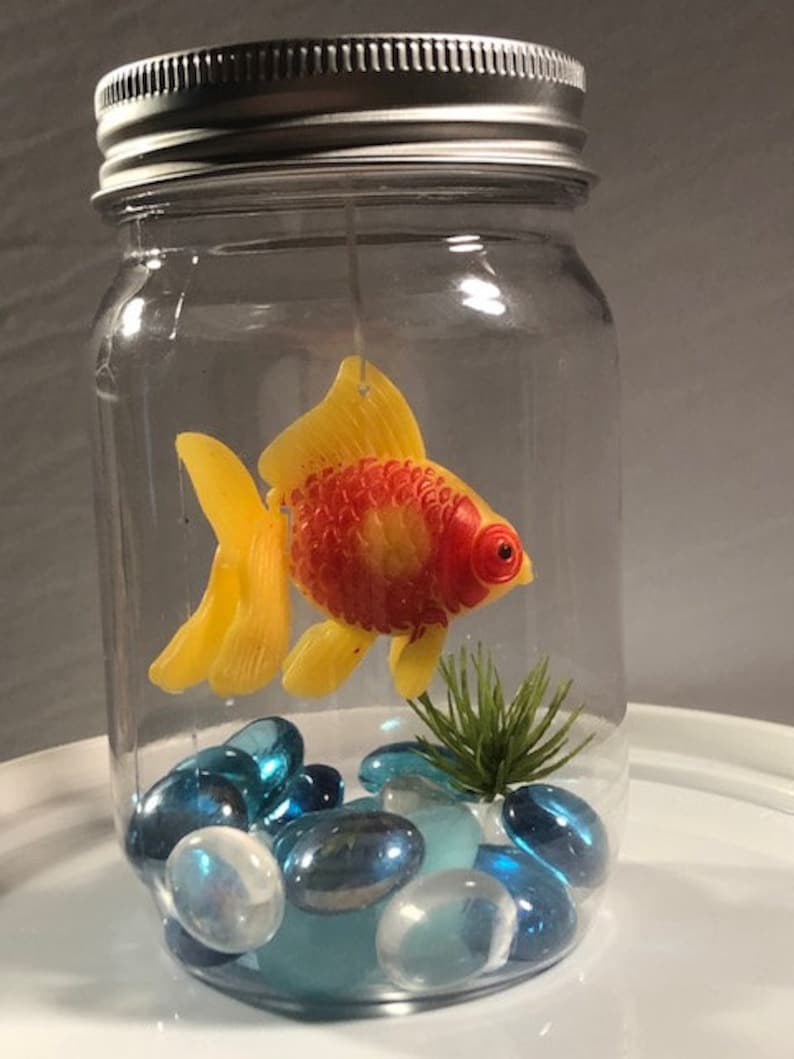 Goldfish Jar | Etsy