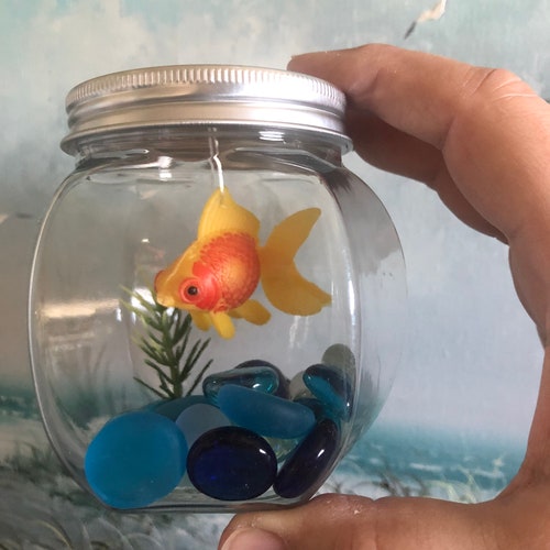 Pet Fish in a Jar choose Your Fish Color Goldfish in a Jar - Etsy