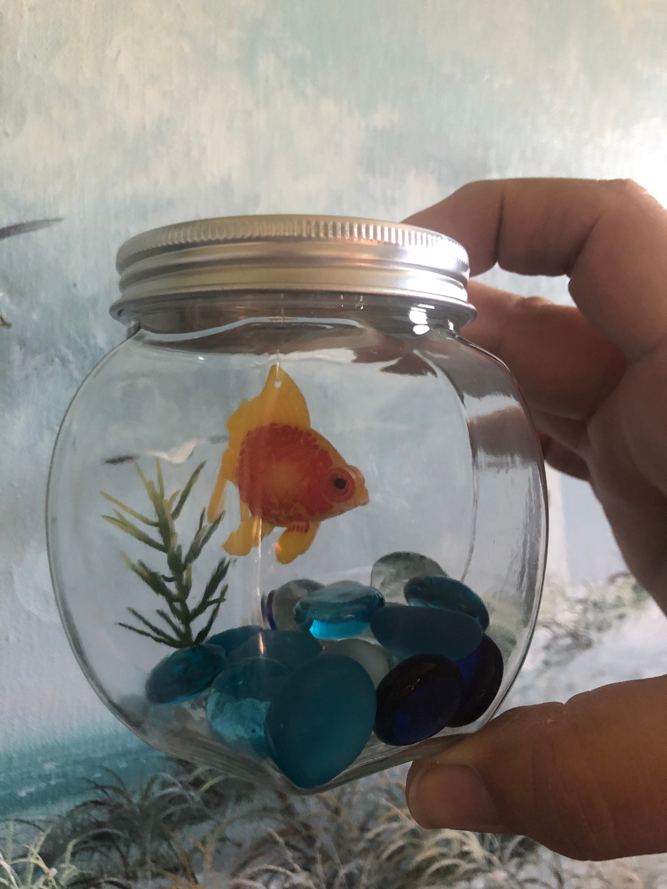 Goldfish Jar - Etsy