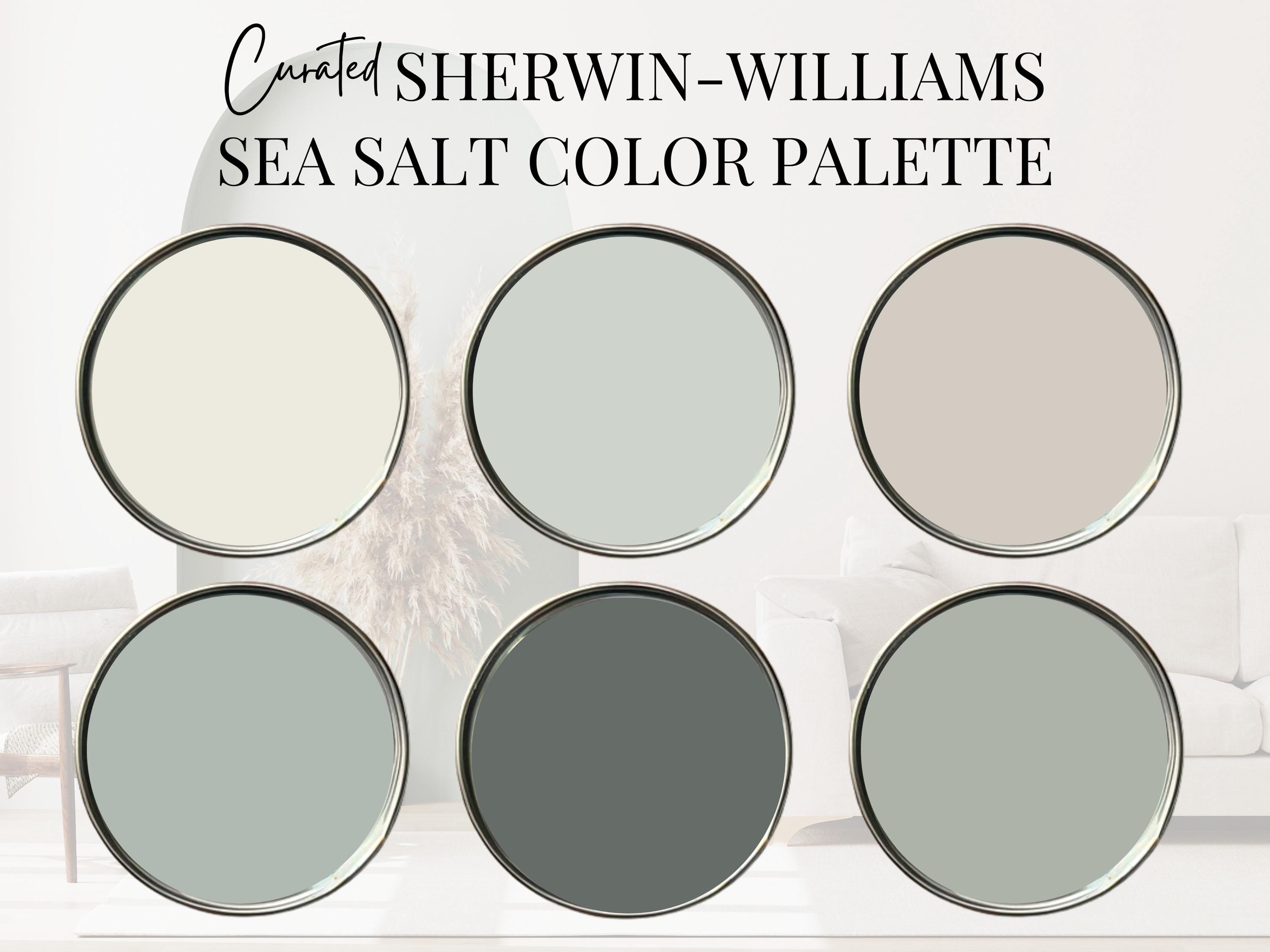 Sherwin Williams Sea Salt Color Palette, Calm Color Palette, Coastal ...