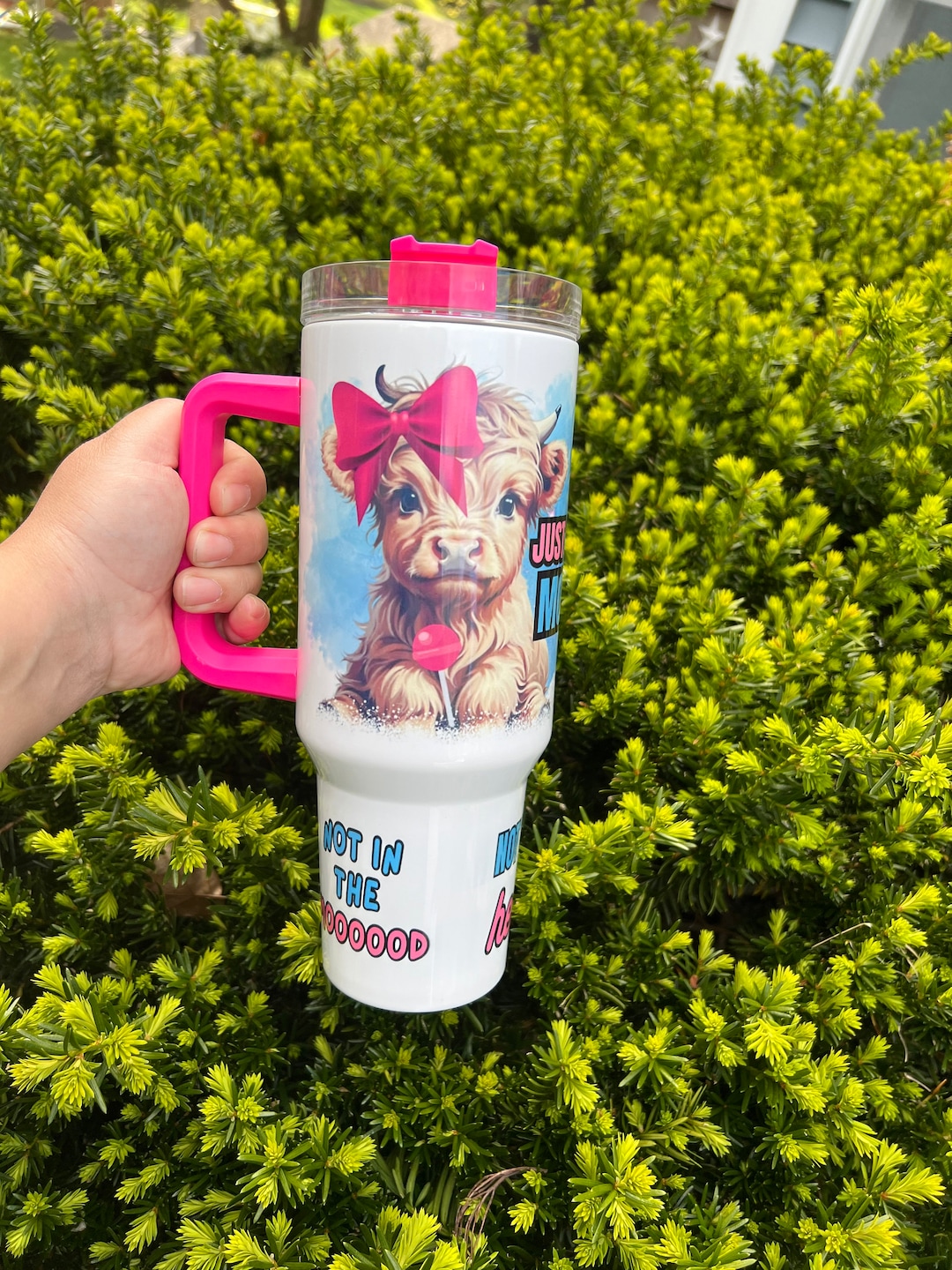 Cow 40oz Tumbler, Highland Cow Tumbler, Highland 40oz Cup, Funny 40oz ...