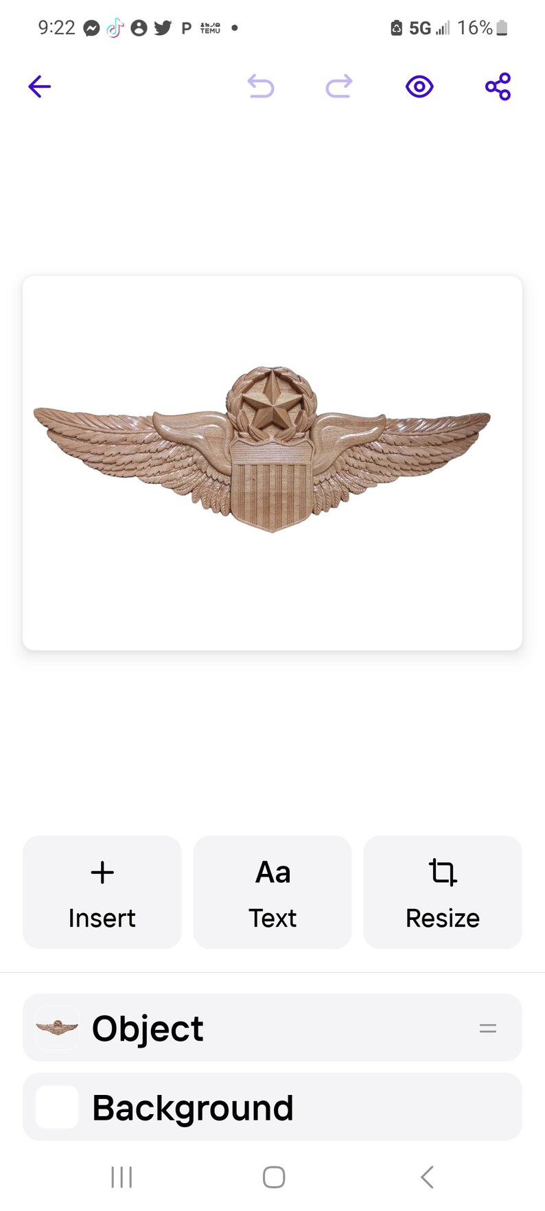 36 US Air Force Command Pilot Wing - Etsy