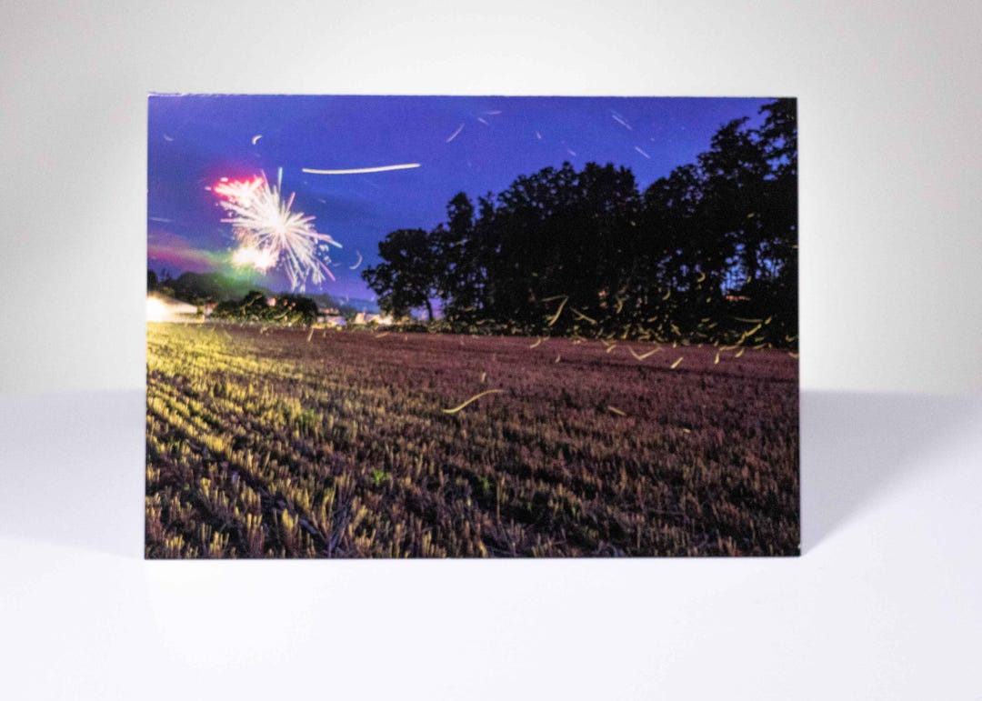 Fireworks & Fireflies Blank Greeting Card With Envelope - Etsy