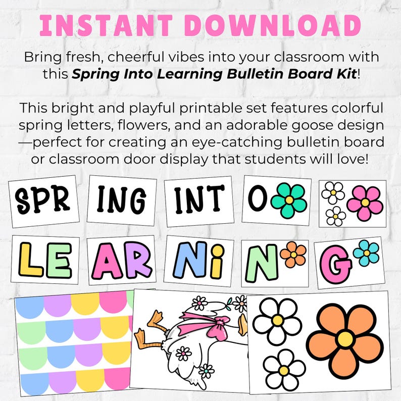 Spring Into Learning Bulletin Board Kit, Classroom Door Decor, Goose ...