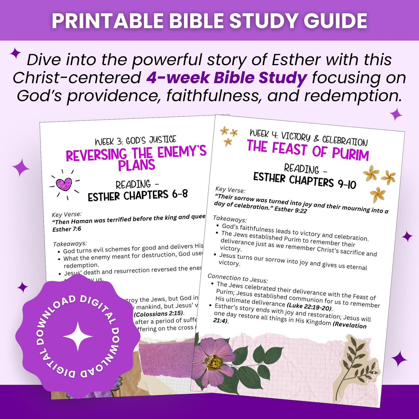 Esther Bible Study Guide: Christian Women's 4-week Curriculum (digital ...
