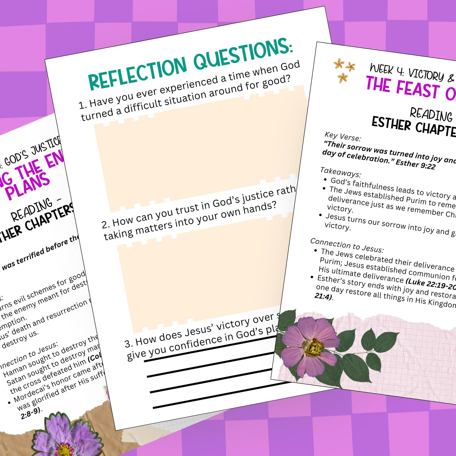 Esther Bible Study Guide: Christian Women's 4-week Curriculum (digital ...
