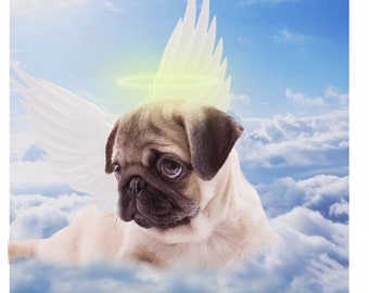 Angel Pet Portrait, Custom Dog Portrait, Digital Portrait, Angel Cat ...