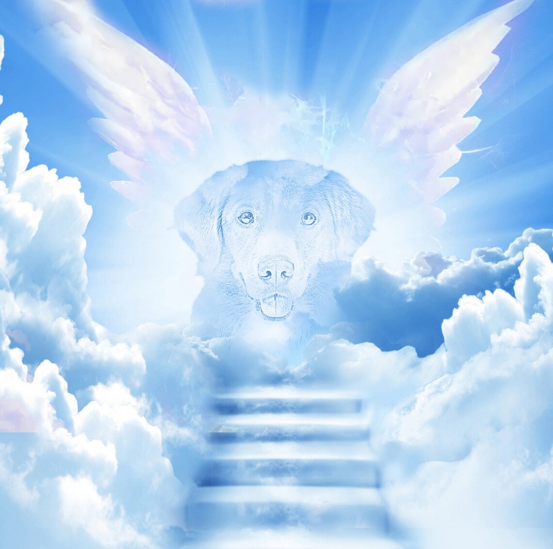 Angel Pet Portrait, Custom Dog Portrait, Digital Portrait, Angel Cat ...