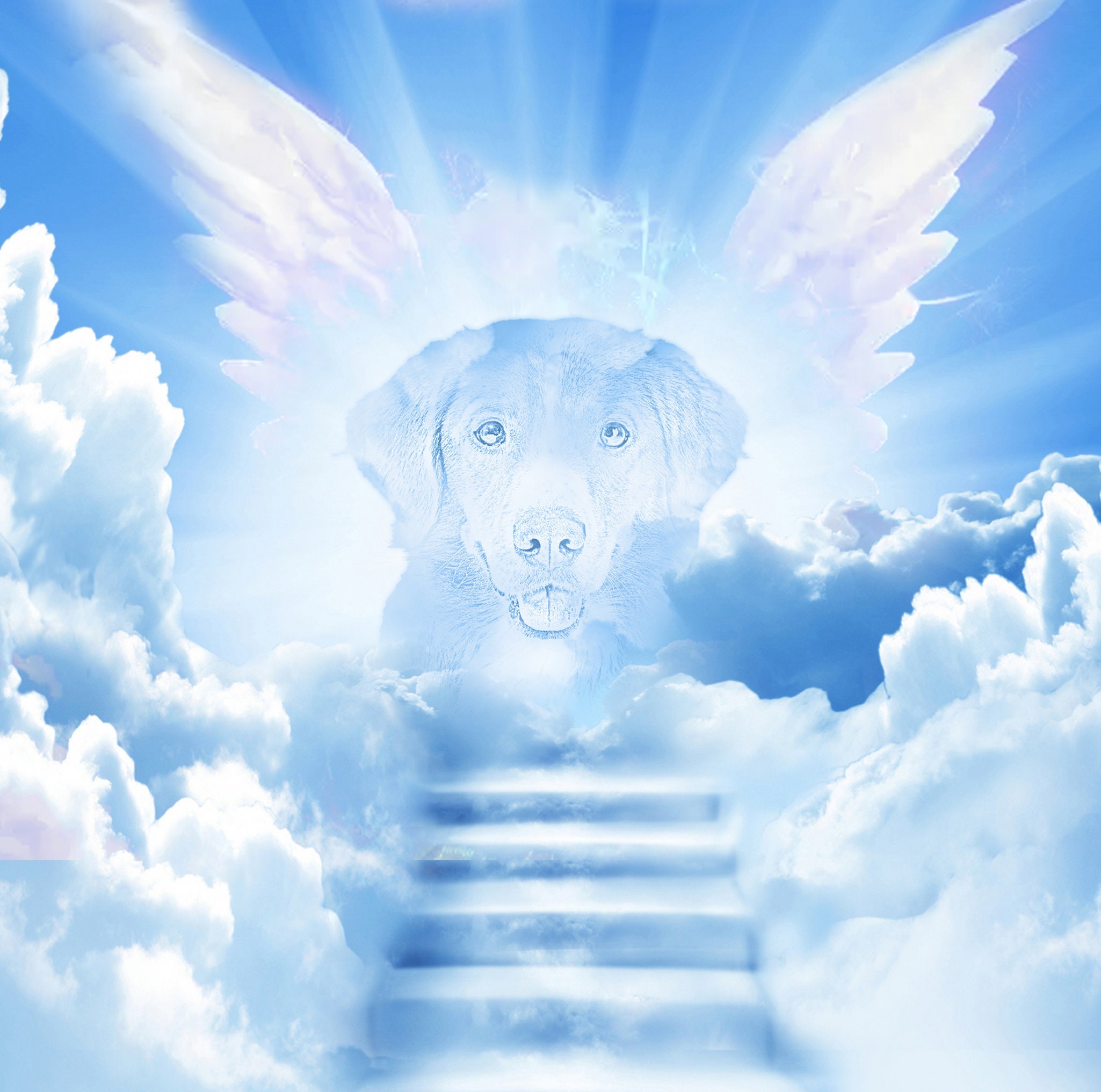 Angel Pet Portrait, Custom Dog Portrait, Digital Portrait, Angel Cat ...