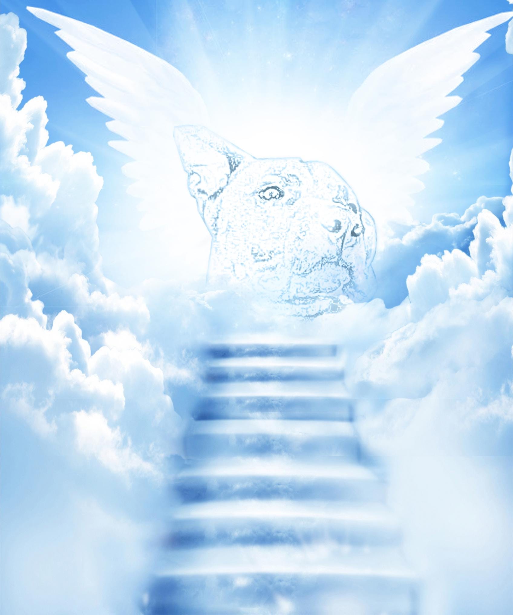 Angel Pet Portrait, Custom Dog Portrait, Digital Portrait, Angel Cat ...