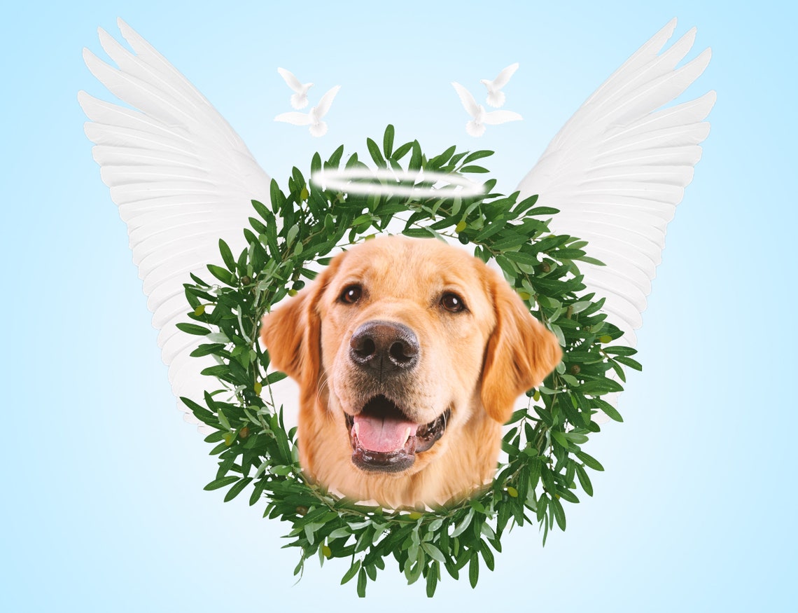 Angel Pet Portrait Custom Dog Portrait Digital Portrait - Etsy UK