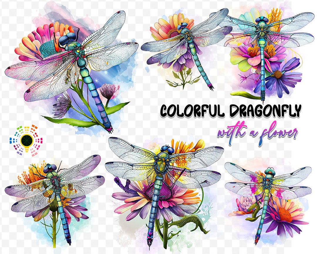 Colorful Dragonfly With Flowers Clipart Transparent Background Bundle ...