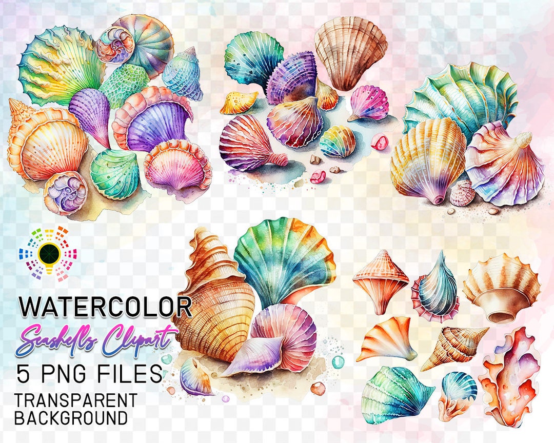 Watercolor Colorful Seashell Clipart PNG Sublimation Design - Etsy