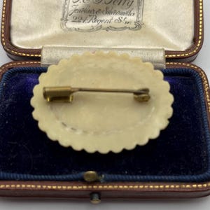 Beautiful 1920s Antique French Depose Celluloid Brooch With Trombone ...