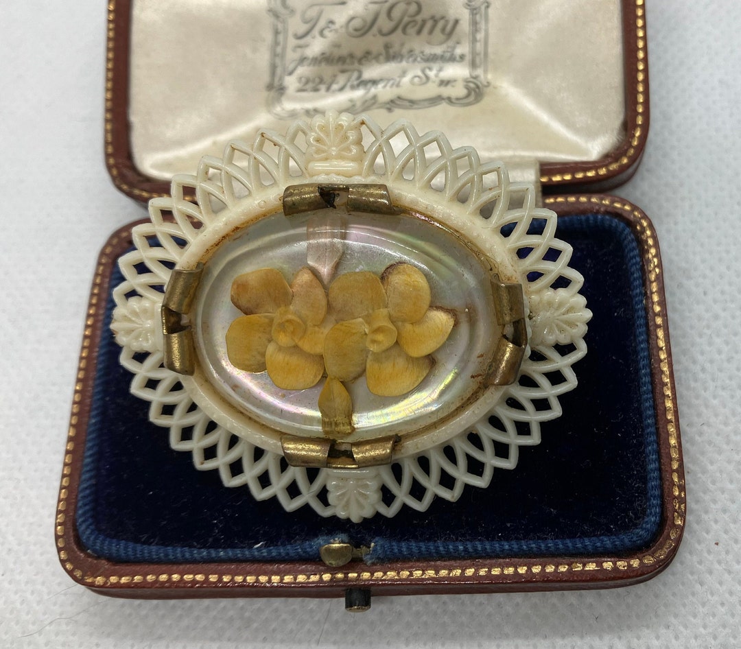 Beautiful 1920s Antique French Celluloid Brooch - Reverse Carved Yellow ...