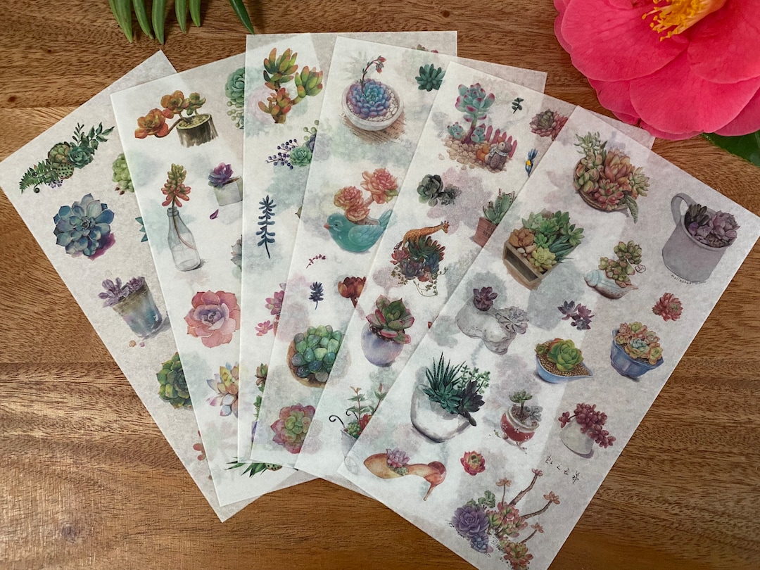 6 Sheets Succulent Plants Stickers Set | Succulents Stickers | Cactus ...