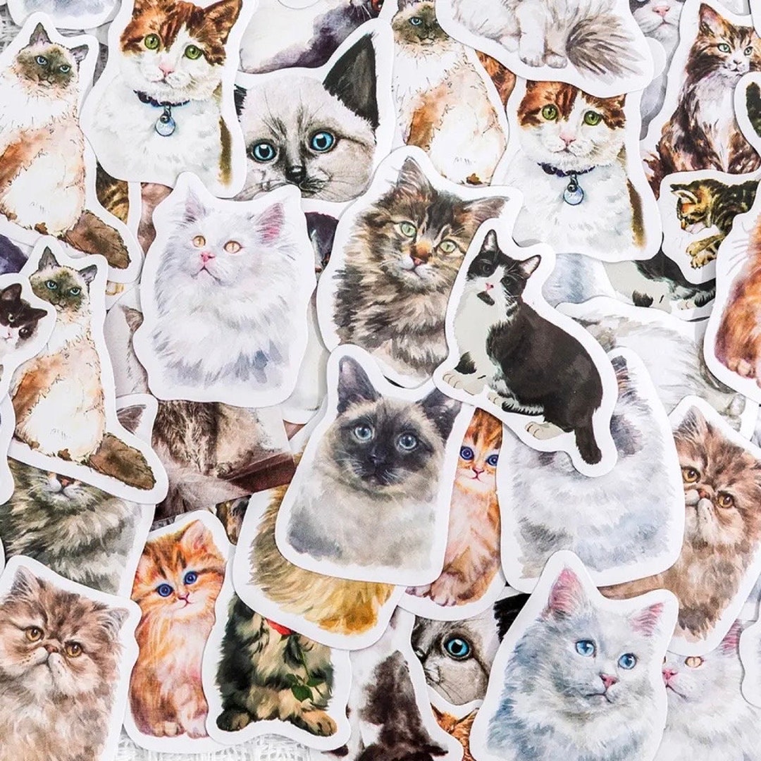Retro Cat Sticker Set 46 Pcs Cat Sticker Flakes Set Cat Lover Stickers ...