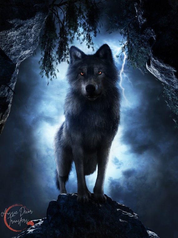 Lone Wolf - munimoro.gob.pe