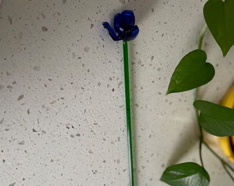 Cobalt Blue Rose | Etsy