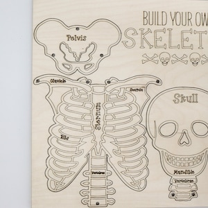 Build Your Own Skeleton Laser Cut Digital File | Cute Halloween DIY ...