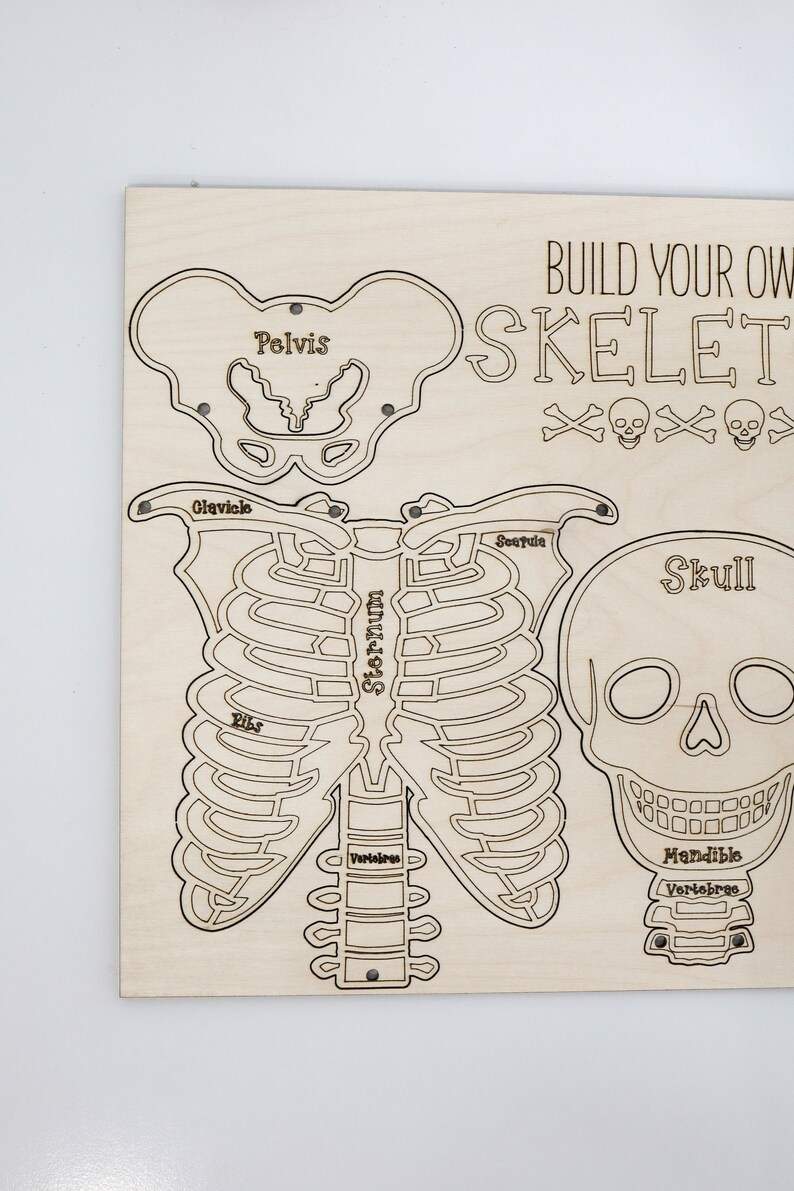 Build Your Own Skeleton Laser Cut Digital File Cute - Etsy