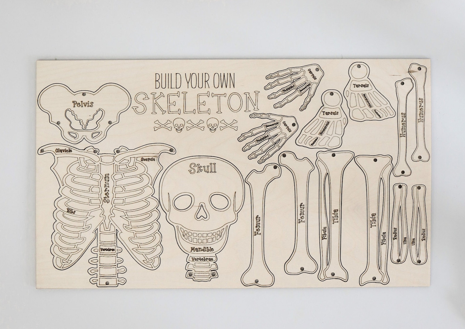 Build Your Own Skeleton Laser Cut Digital File | Cute Halloween DIY ...
