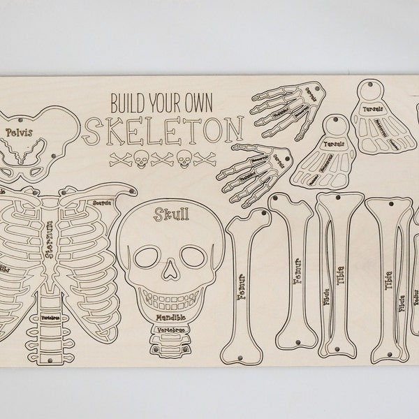 Build Your Own Skeleton Laser Cut File - Etsy