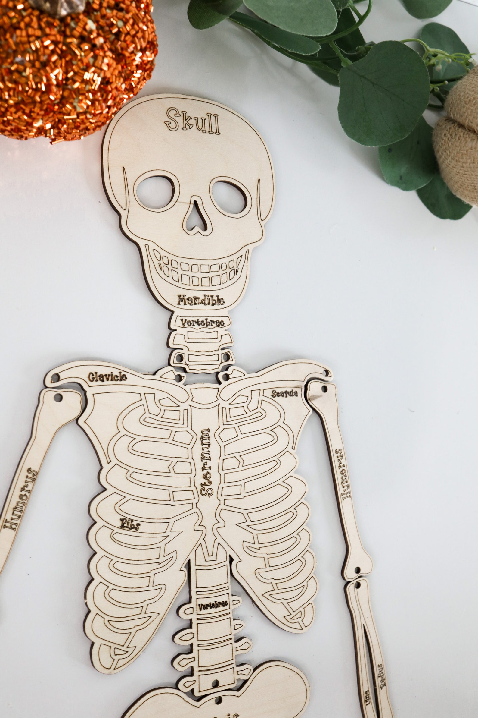Build Your Own Skeleton Laser Cut Digital File | Cute Halloween DIY ...