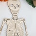 Build Your Own Skeleton Laser Cut Digital File | Cute Halloween DIY ...