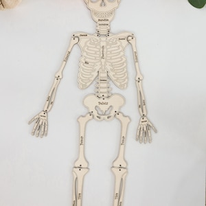 Build Your Own Skeleton Laser Cut Digital File | Cute Halloween DIY ...