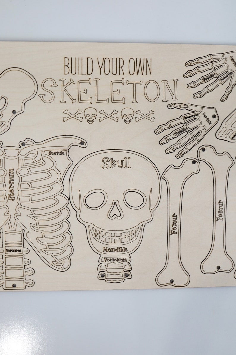 Build Your Own Skeleton Laser Cut Digital File Cute - Etsy